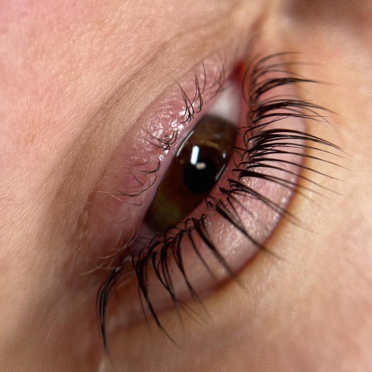 LASH LIFT TRAINING – Lash & Blade