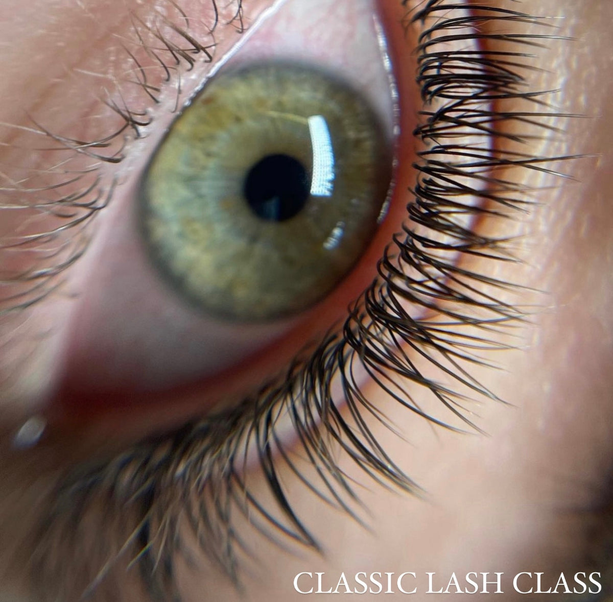 CLASSIC LASH EXTENSIONS CLASS – Lash & Blade